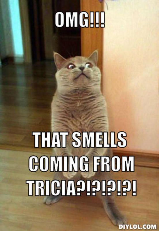 Name Meme Generator – It Is Trish